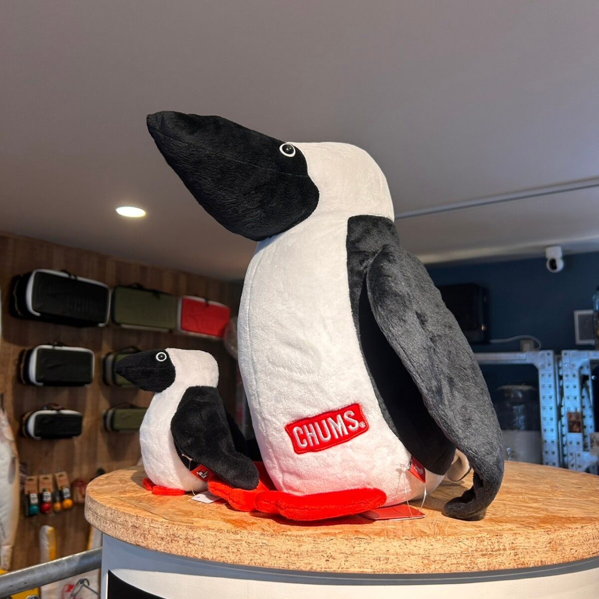 NEWカラーも仲間入り！CHUMS商品続々入荷中です♪ - unionplus.