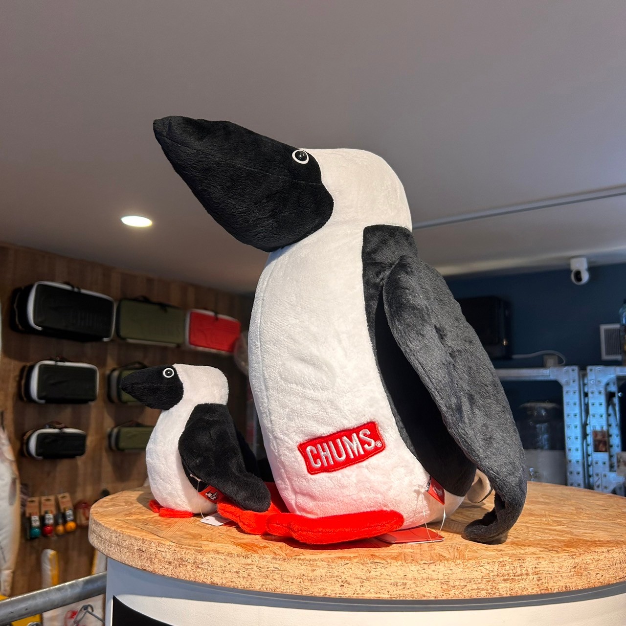 NEWカラーも仲間入り！CHUMS商品続々入荷中です♪ - unionplus.